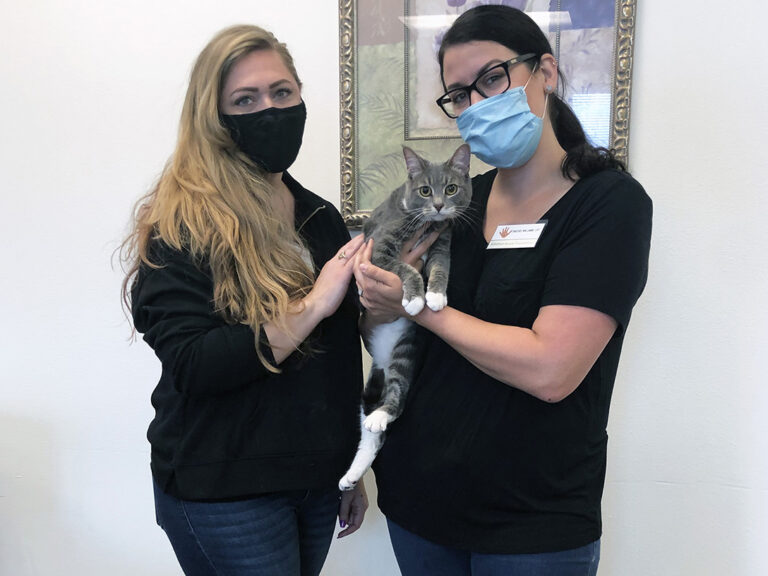 Programs – Kindred Souls Foundation